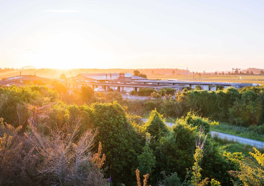 5 Things You Didn't Know About Haast | Scenic Hotel Group