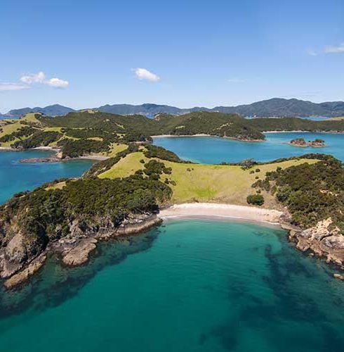 Bay of Islands Regional Tips and Information | Scenic Hotel Group