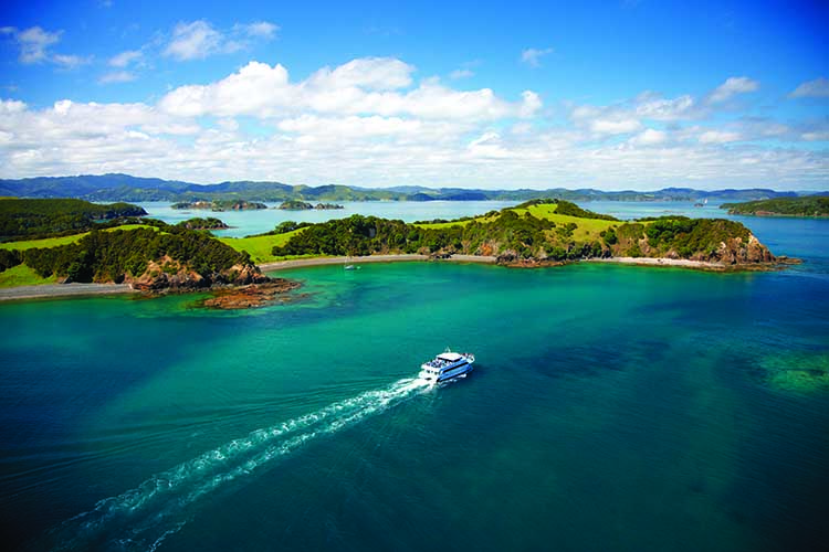 Plenty to See in the Bay of Islands - Scenic Hotel Group
