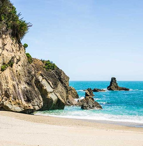 Haast Regional Tips & Information - Scenic Hotel Group