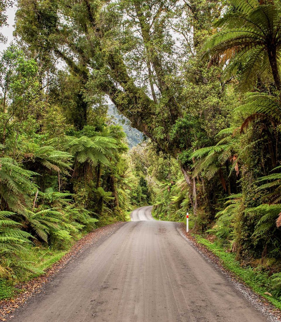 Top 10 Things to do on the West Coast - Scenic Hotel Group