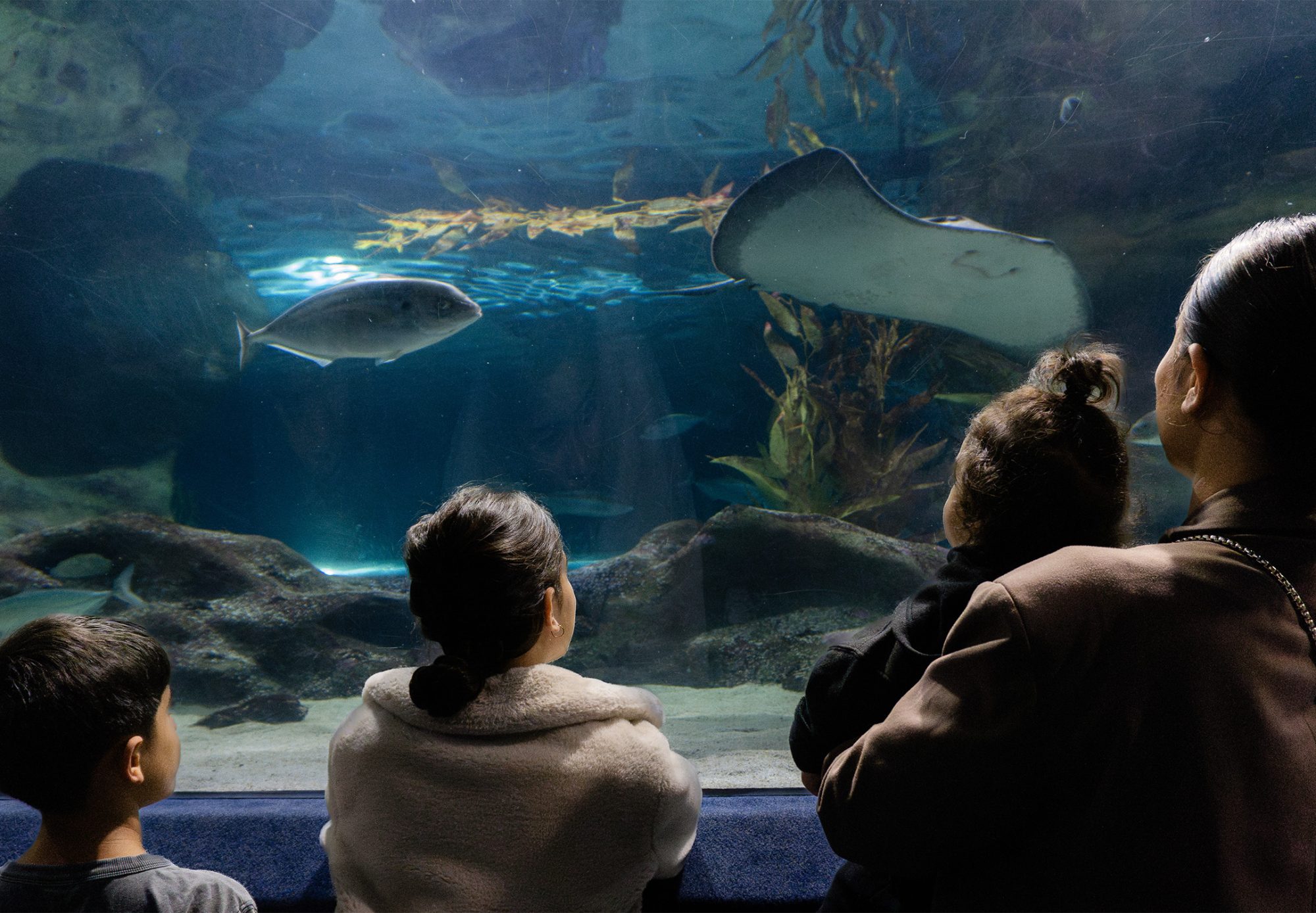 Family Fun in Napier - Scenic Hotel Te Pania